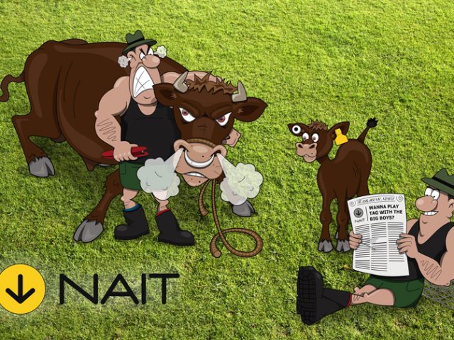 Welcome to Ultimate Design • Design & Online SpecialistsUltimate Design ...